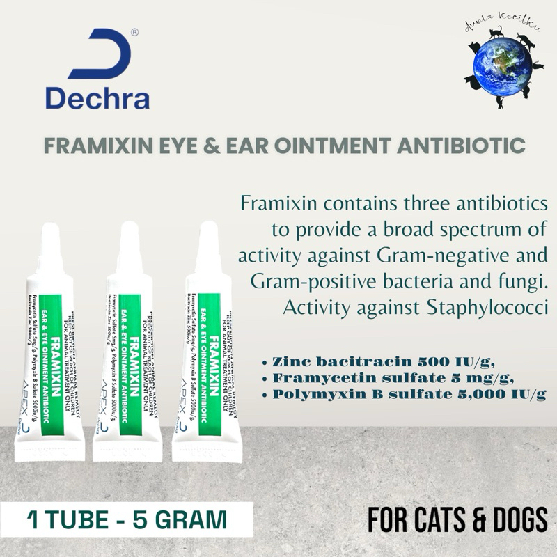 MATA Framixin Eye & Ear Ointment Antibiotic - Anti-Bacterial & Fungus ...