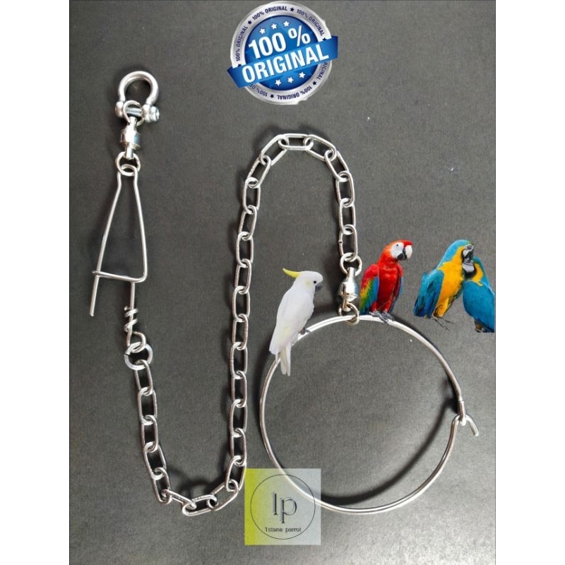 One SET OF STAINLESS BIRD CHAINS 2mm thick for: KAKATUA PARROT READY TO ...