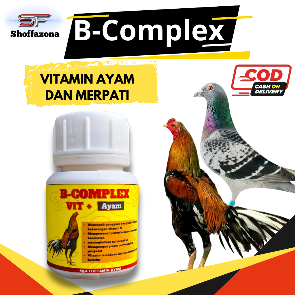 B-complex Vitamins for Chickens and Pigeons Maintain Poultry Appetite ...