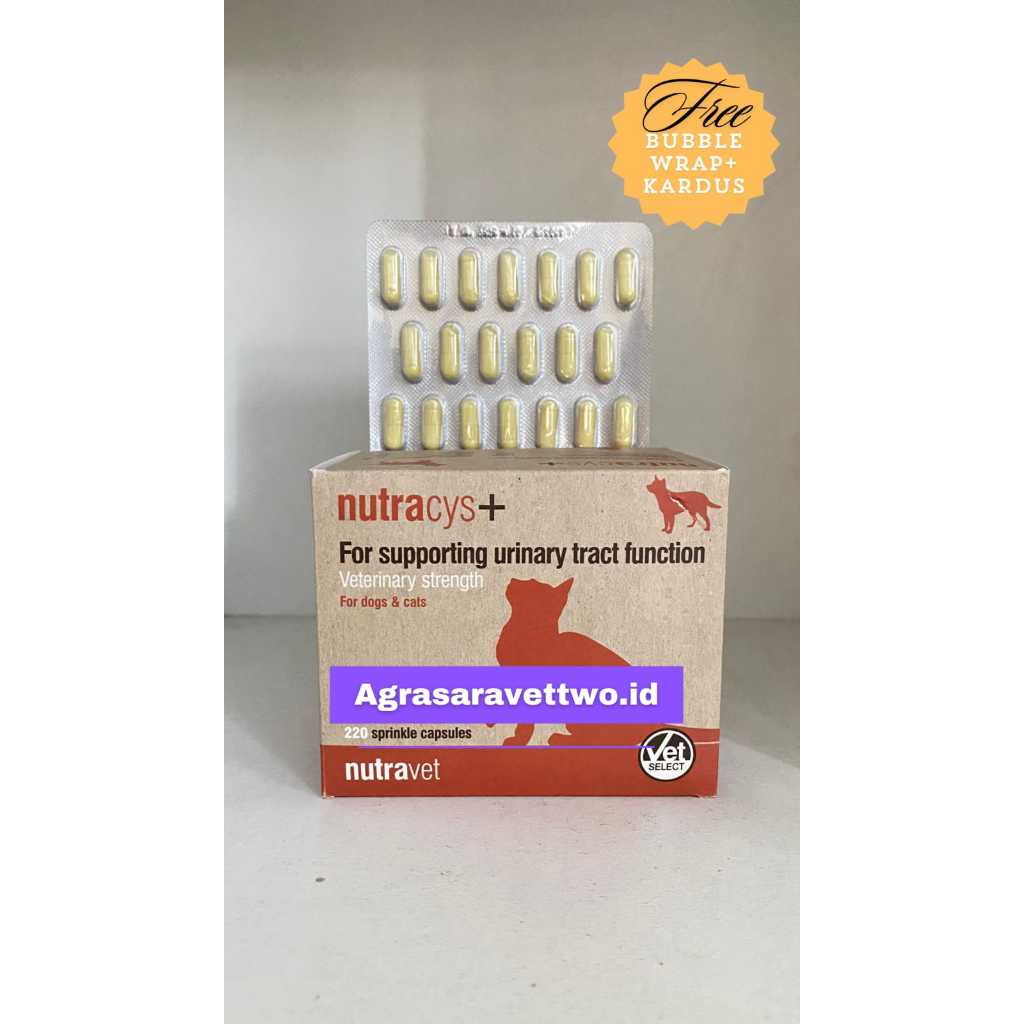 Nutracys+ Plus Urine Tract (1 Capsule) -LIKE CYSTAID Medicine For ...