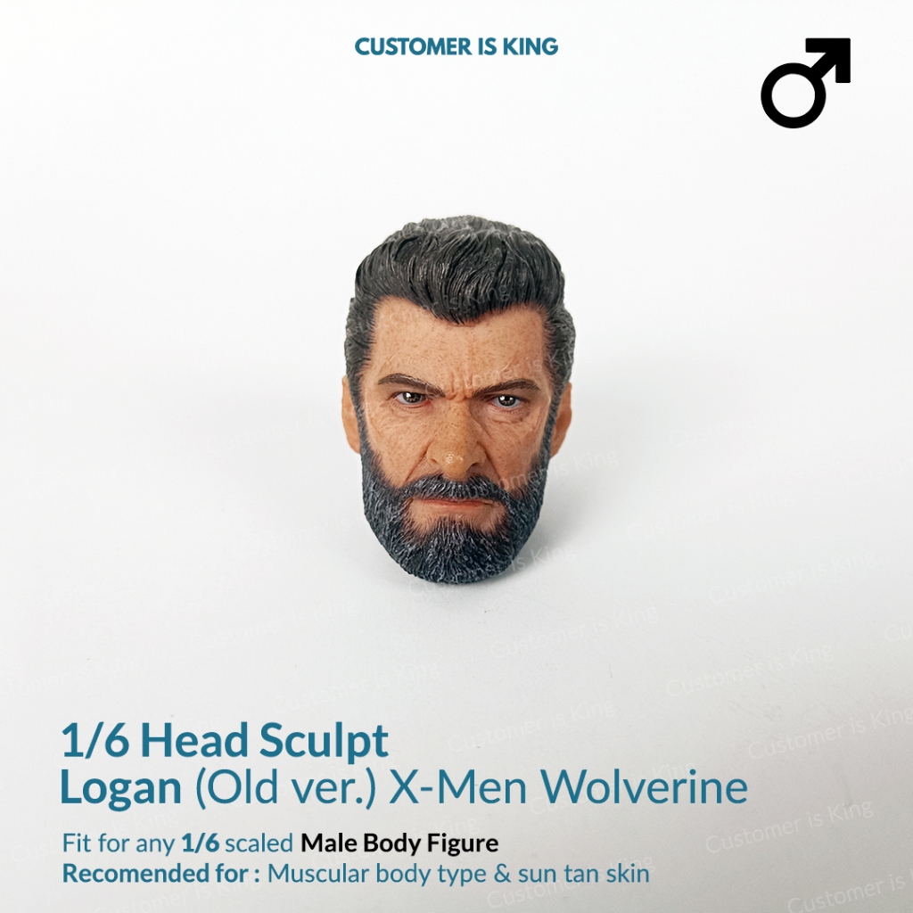1/6 Head Sculpt Headsculpt HS Logan Wolverine X men Kitbash | Shopee ...