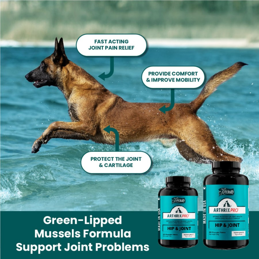 Arthrix Pro Hip & Joint - Dog Cat Bone And Joint Supplement - 60 ...