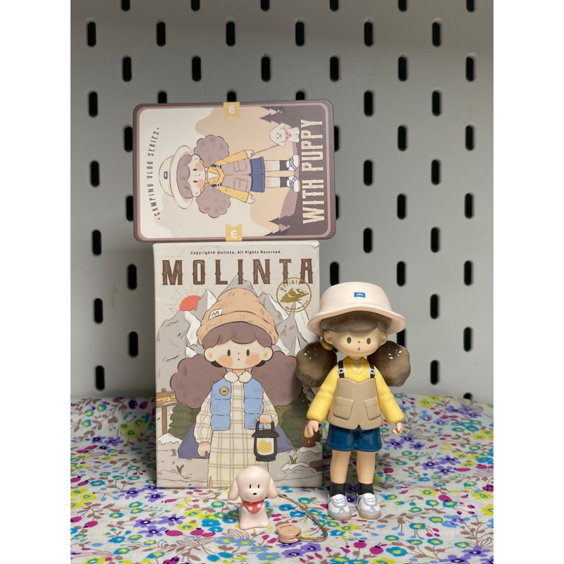 [READY] Finding Unicorn x Molinta Camping Blind Box Series (With Puppy ...
