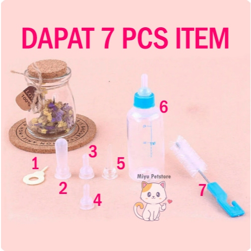 Baby Cat Pacifier Baby Dog Pacifier Animal Pacifier Cat Milk Bottle ...