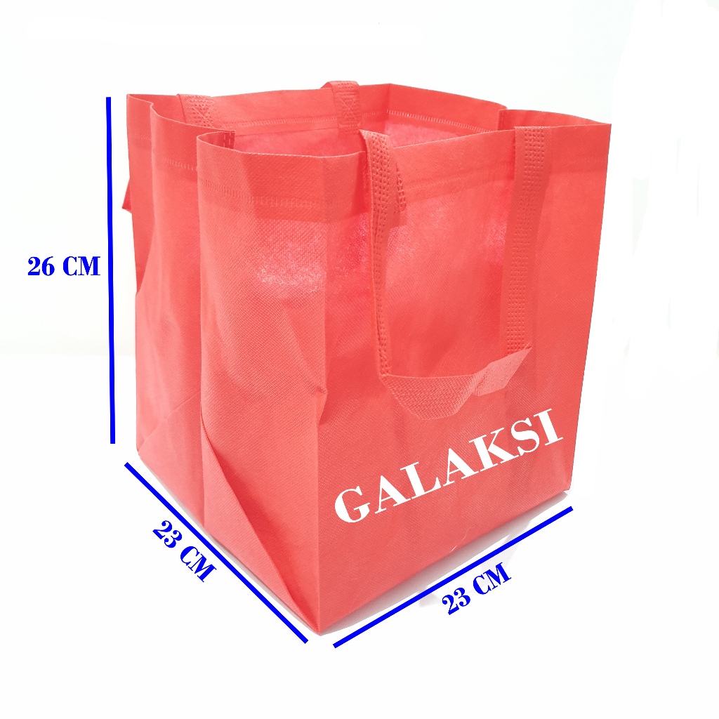Goodie BAG SPUNBOND FABRIC BAG BOX 23 x 23 cm | Shopee Singapore