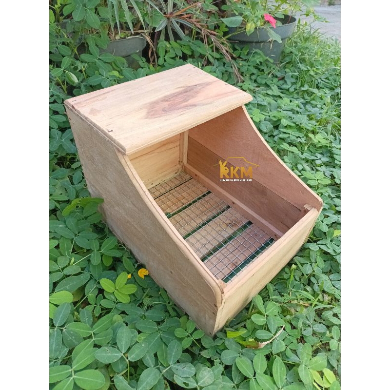 Nestbox Box For Children Mini Rabbit Nederland Dwarf, Holland Lop ...