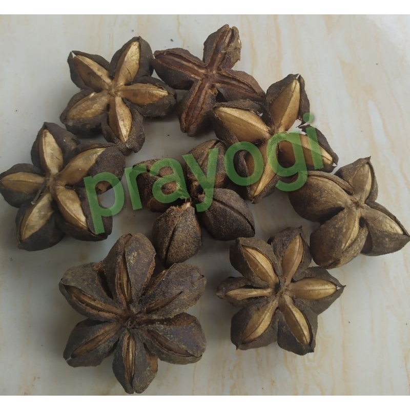 Sacha inchi chocolate 1kg | Shopee Singapore