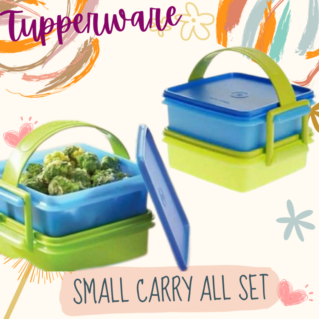 Tupperware Small Carry All Set (Stack Basket) | Shopee Singapore