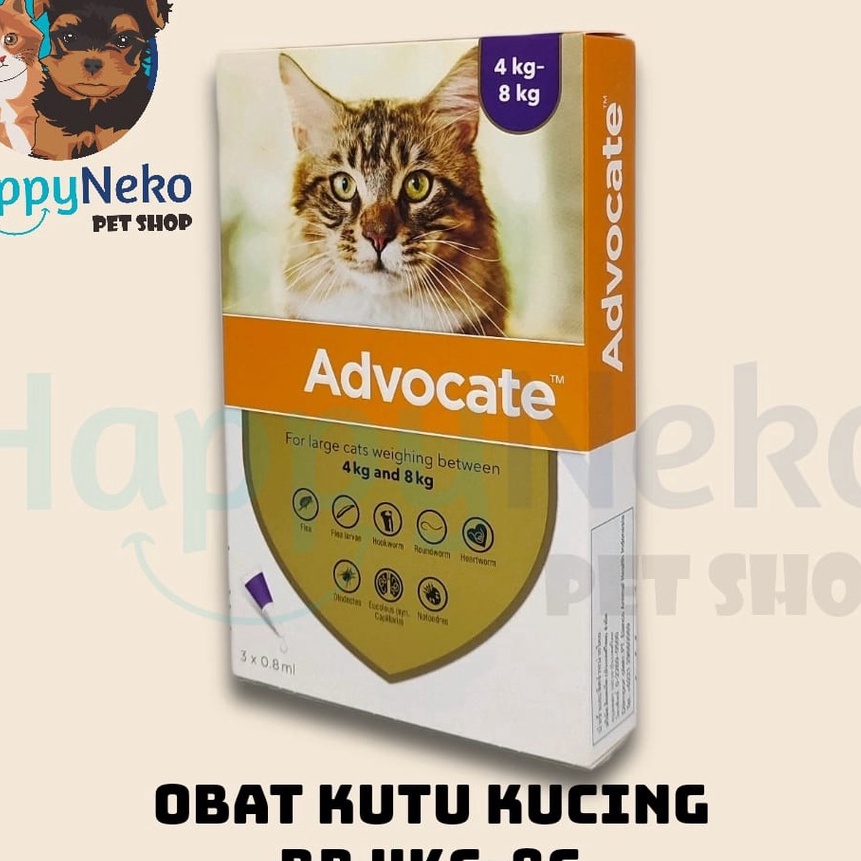 ADVOCATE FLEA AND TICKS 4KG 8KG FOR CAT CAT FLEA MEDICINE | Shopee ...
