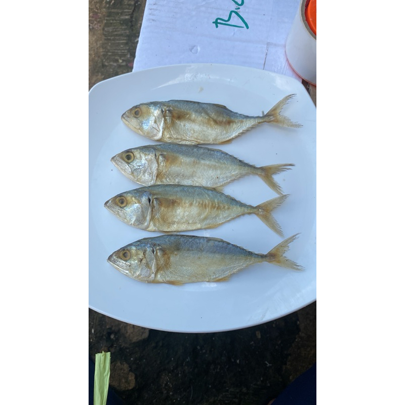 PUTIH Original mackerel white spicy salted fish = variant 250g-500g-1kg ...