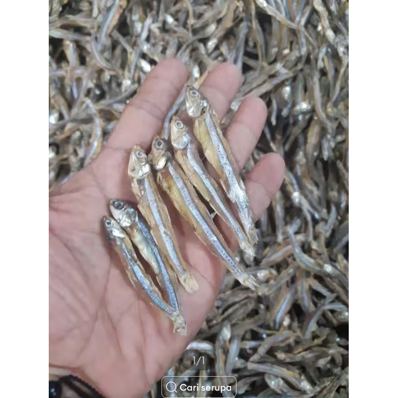 Dried fresh anchovies (not salty) = 250g/500g/1kg | Shopee Singapore