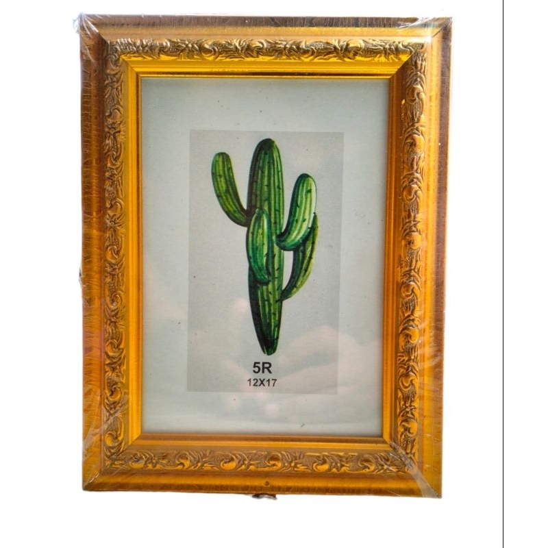 Figura PHOTO 5R PHOTO FRAME / FRAME / FRAME (GUARANTEED) | Shopee Singapore