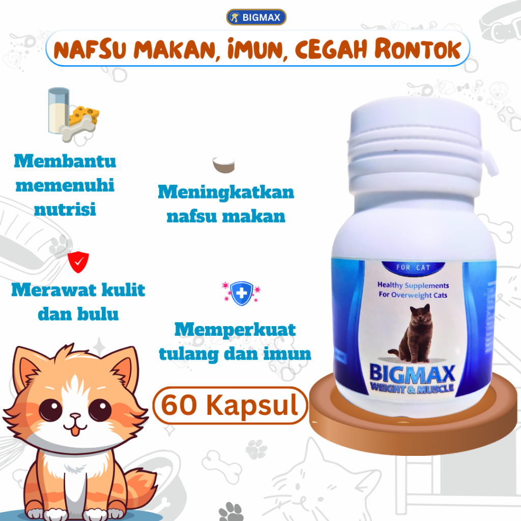 Cat VITAMINS APPETITE FOR CAT FATTENING CAT FUR VITAMINS CAT FUR LOSS ...