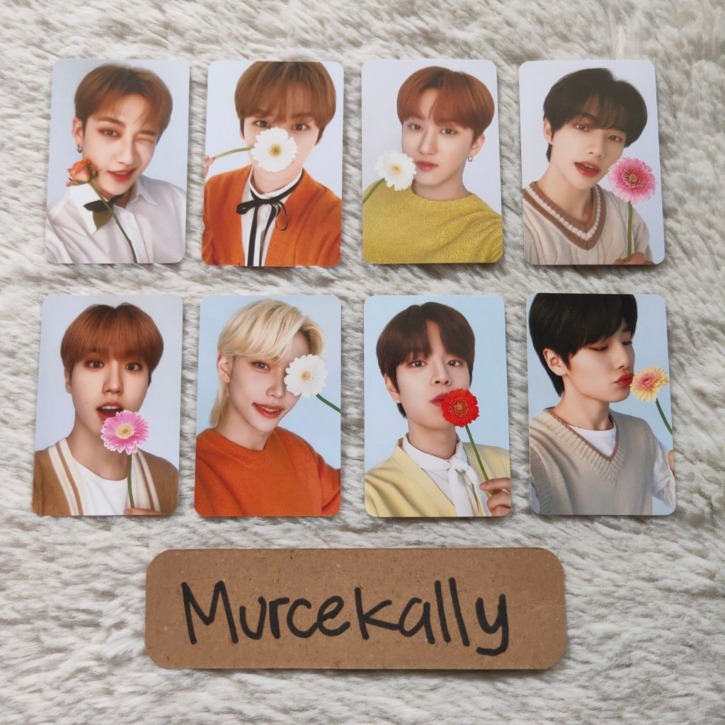 Photocard Nacific Stray Kids R10 Bangchan Leenow Changbin Hyunjin Han ...