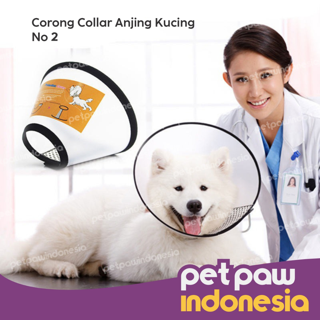 Dog Cat Rabbit Neck Protector Collar Funnel Number 2 | Shopee Singapore
