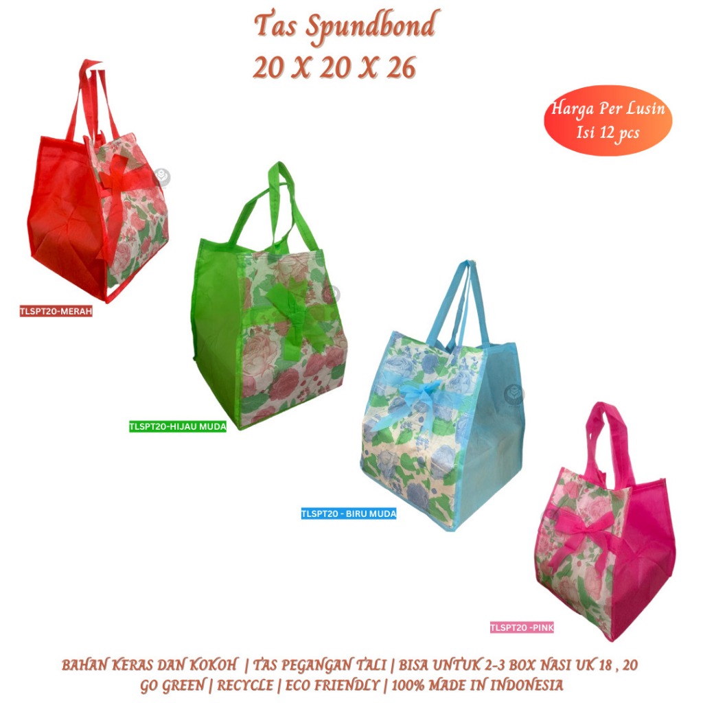 Spunbond Bag Goodie Bag Celebration Ribbon Bag 20x20 (12Pcs-TLSPT20 ...