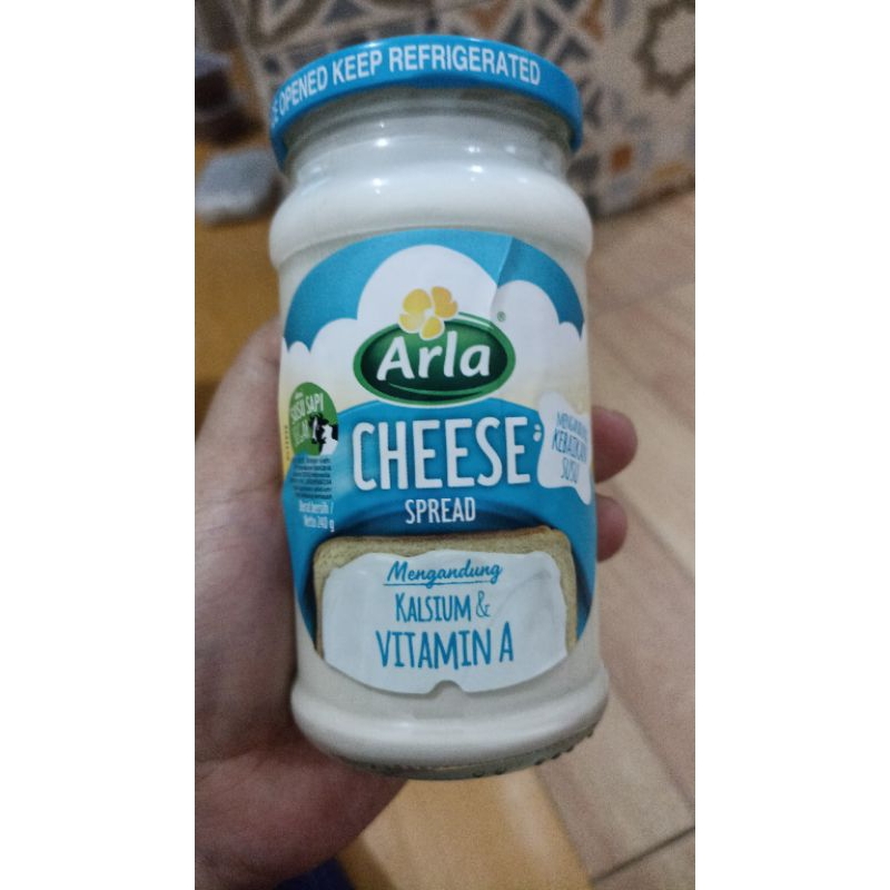 Arla CHESEE SPREAD Cheese SPREAD Original DENMARK Products FREE ...
