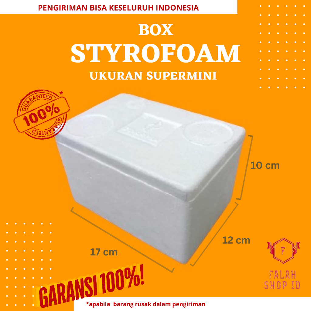 STYROFOAM Box SUPER MINI 16,5 X 11,5 X 10 CM / Box XS1 / Box XS 1 / Box ...