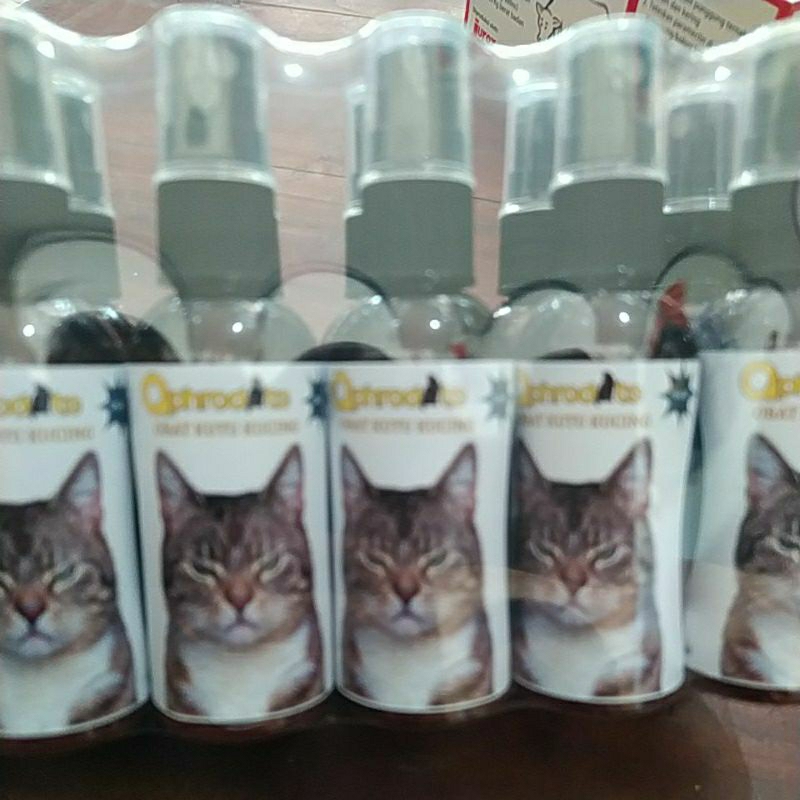 Aphrodite flea medicine for cats and dogs spray 60ml | Shopee Singapore