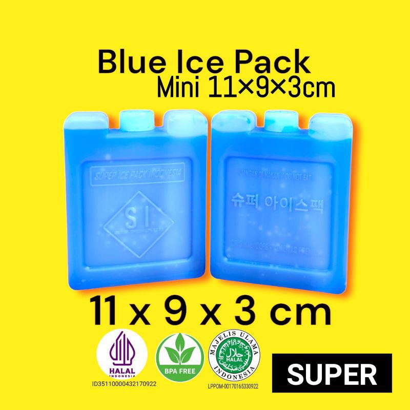 Blue ice pack 11x9x3 Small ice gel mini Styrofoame blue ice dry ice gel ...