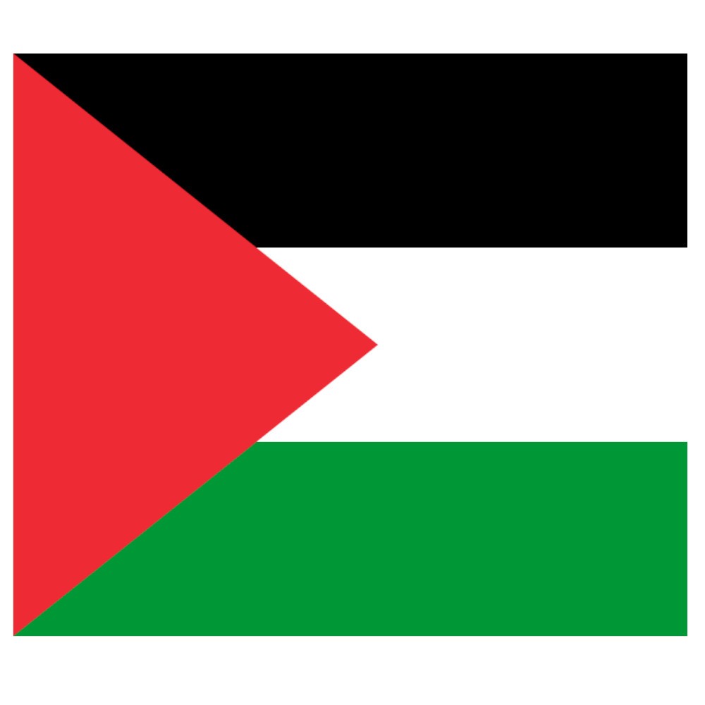 Palestine Flag Sticker | Shopee Singapore