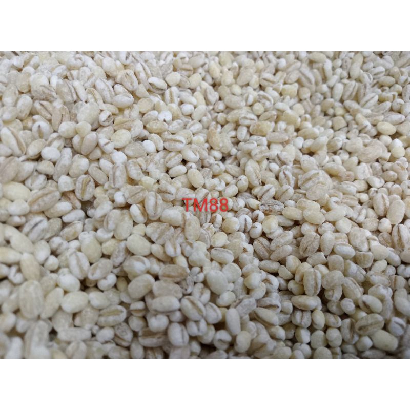 CHINA JALI BEANS/JALI JALI CHINA SEEDS/ CHINA BARLEY WHITE/ CHINA JALI ...