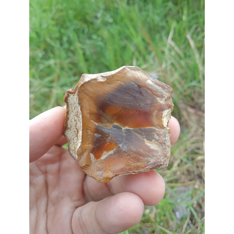 Rafflesia Agate (Rough / Natural Agate - not bacan obi red baron borneo ...