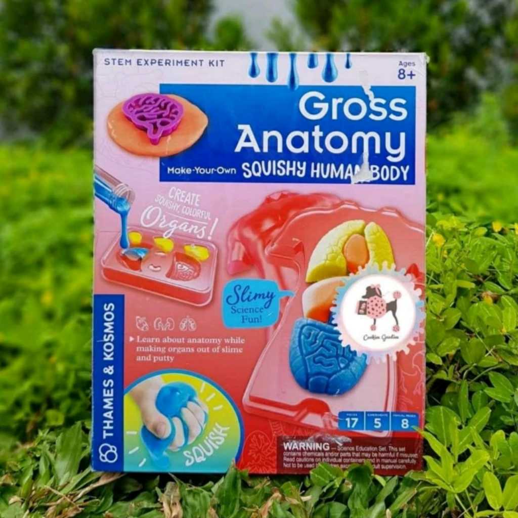 Gross Anatomy Make Your Own Squishy Human Body | Shopee Singapore