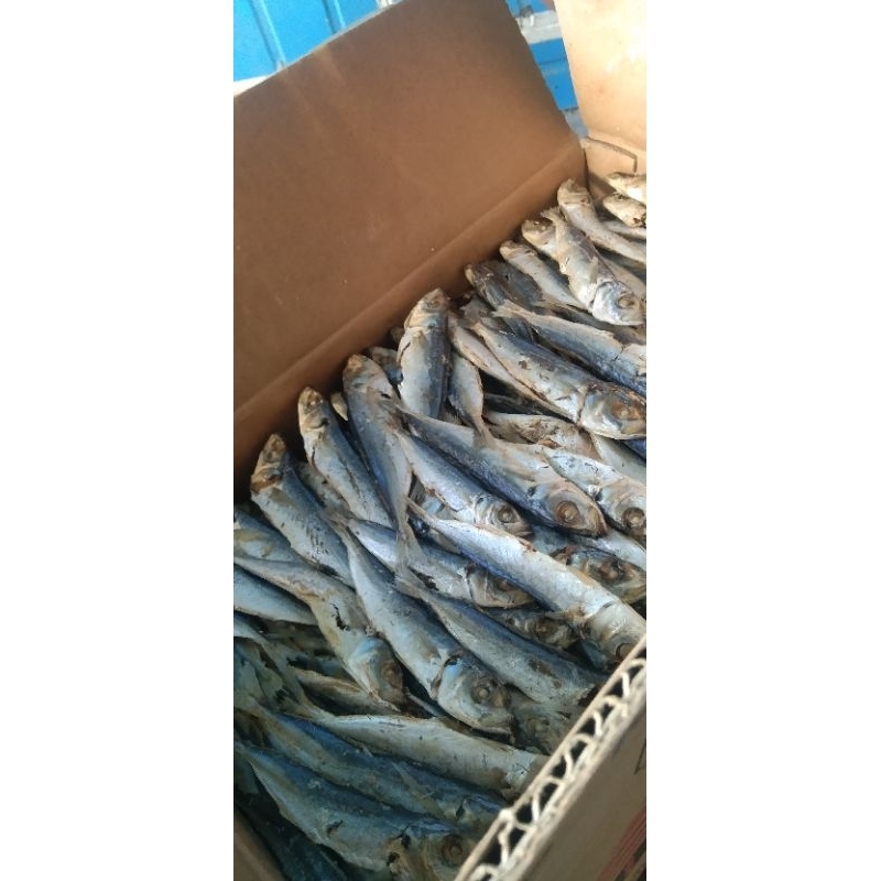 Salted Fish peda Kite Boiled cop Salted 1kg | Shopee Singapore