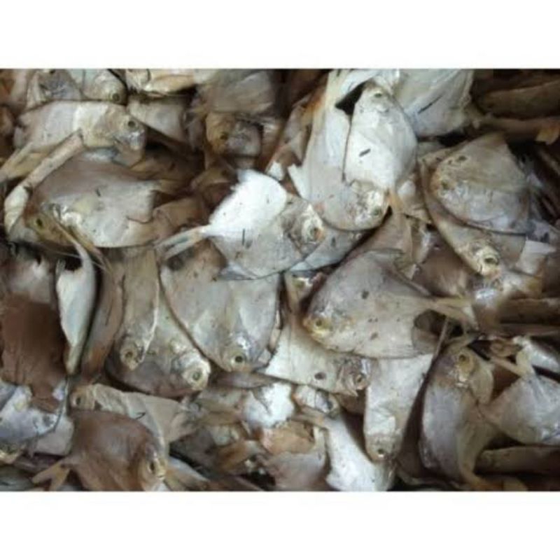 Pomfret Salted Fish (Dried Seafood) | Shopee Singapore