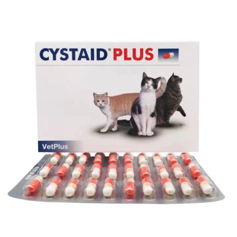 VetPlus CYSTAID PLUS - Cat Urinary Tract Infection Medication | Shopee ...