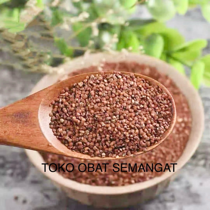Original Thien Sien ce frog eggs 10 grams for boils | Shopee Singapore