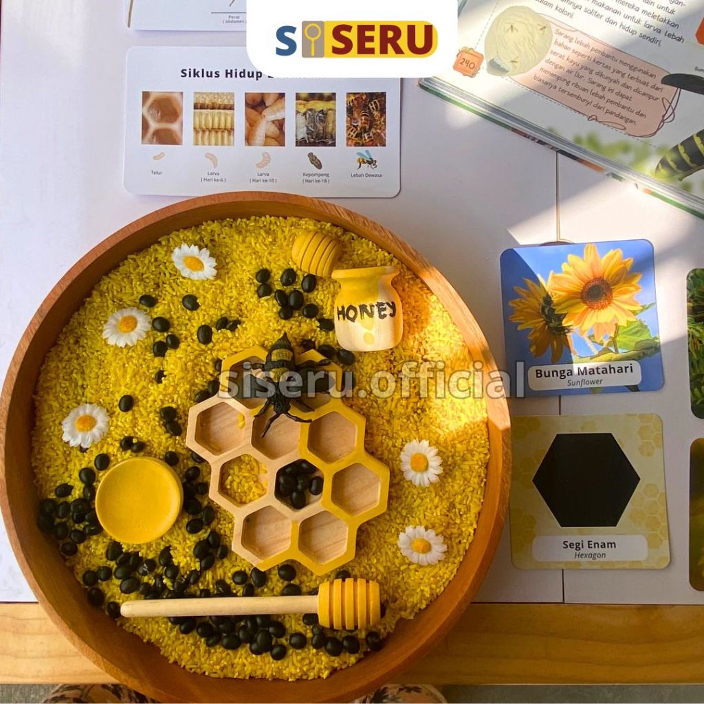 Siseru Honey Bee Sensory Bin [Honey Bee Theme Sensory Play Set Package ...