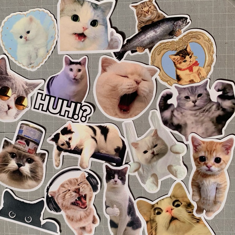 Cat Meme Sticker Pack | Shopee Singapore