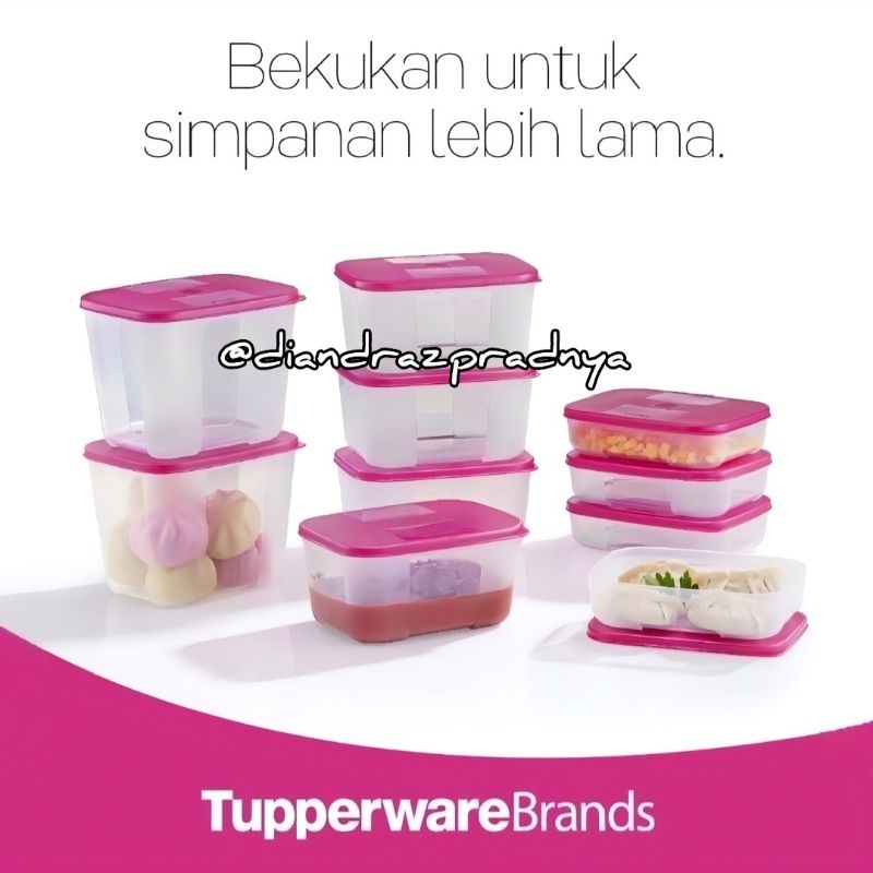 Tupperware Mate Freezer | Shopee Singapore
