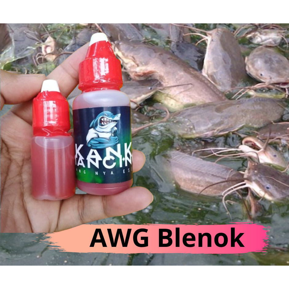 Kk Fishing Brand Catfish Essen Most Recommended for Daily and ...