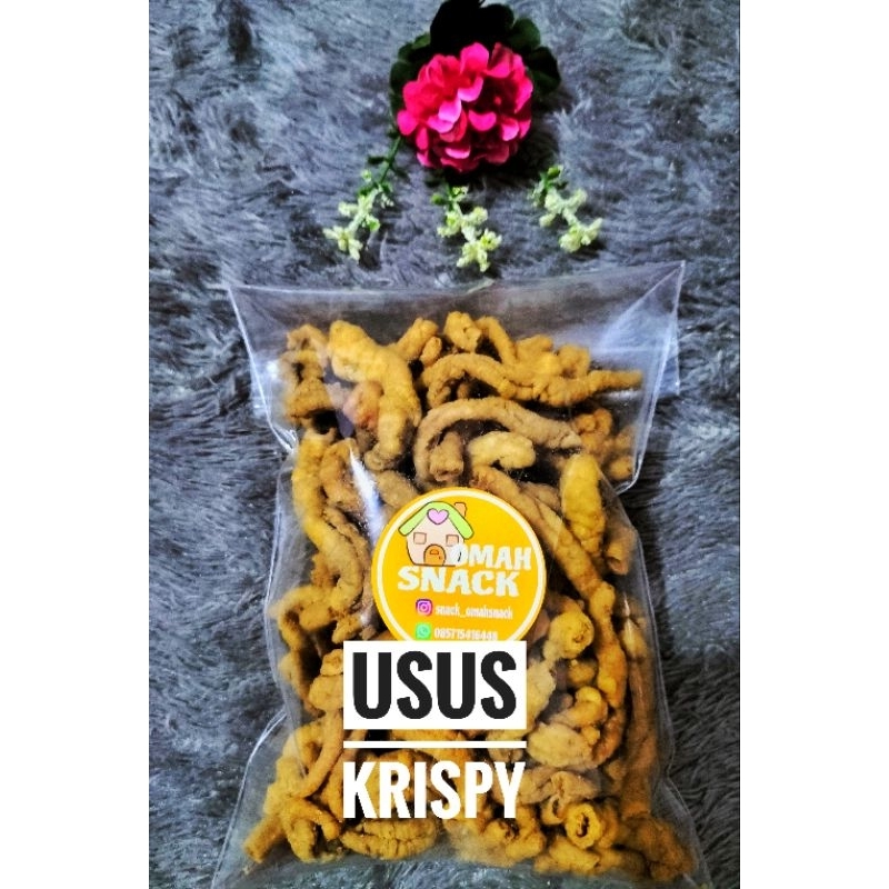 Crispy Chicken Intestine/Intestine Chips 200 Grams - Omah Snack ...