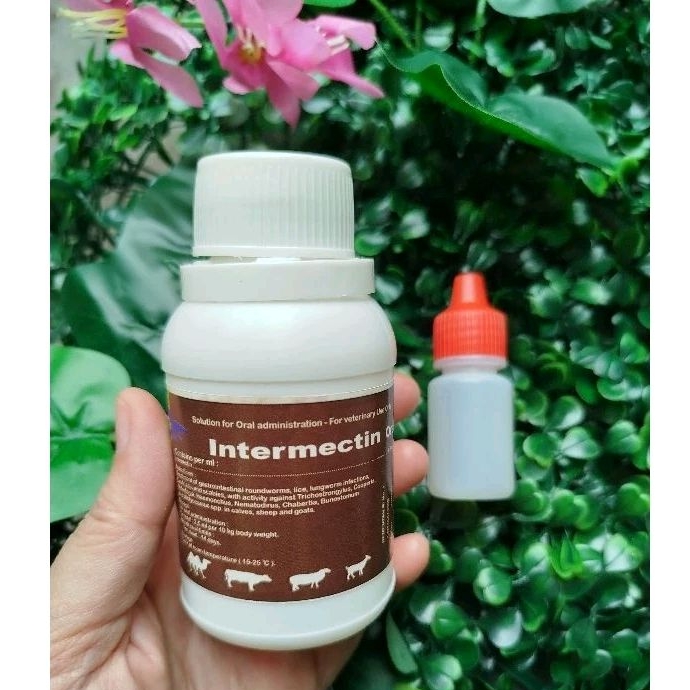 Oral Intermectin/cat flea medicine/cat scabies medicine/rabbit flea ...