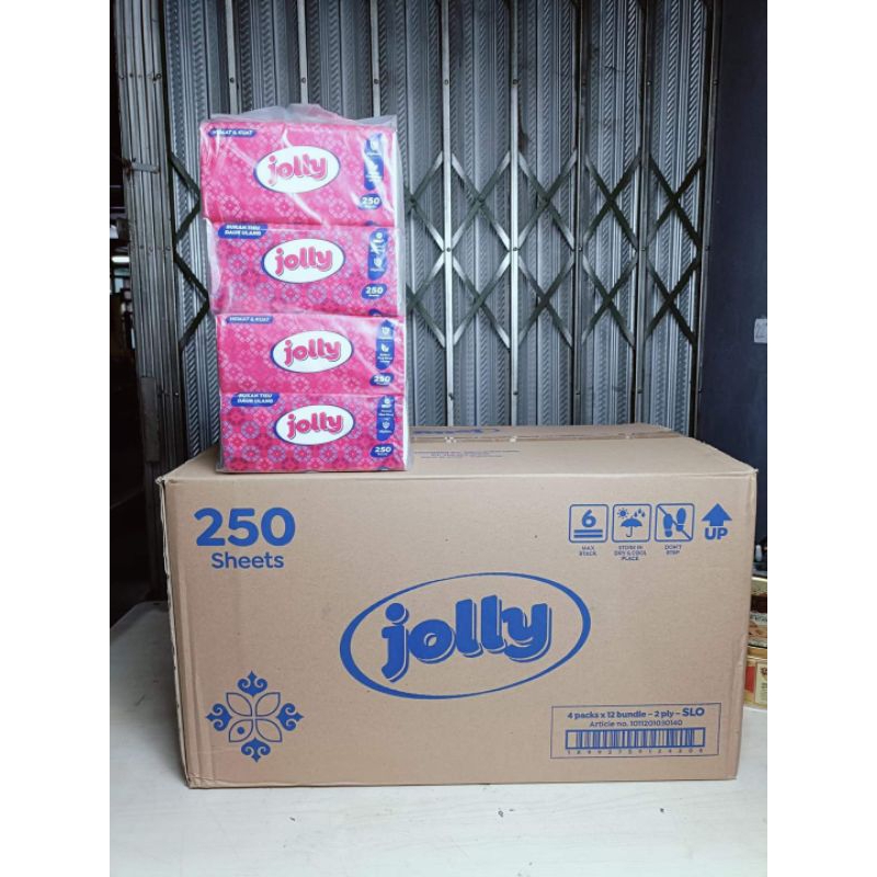 Jolly Tissue 250 Sheets 2 Ply 1 Carton 48 Pcs | Shopee Singapore