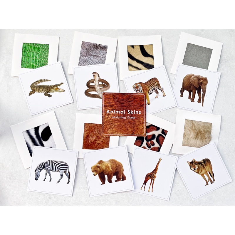 LILOMILO Animal Skins Matching Cards/Matching Animal skin texture ...