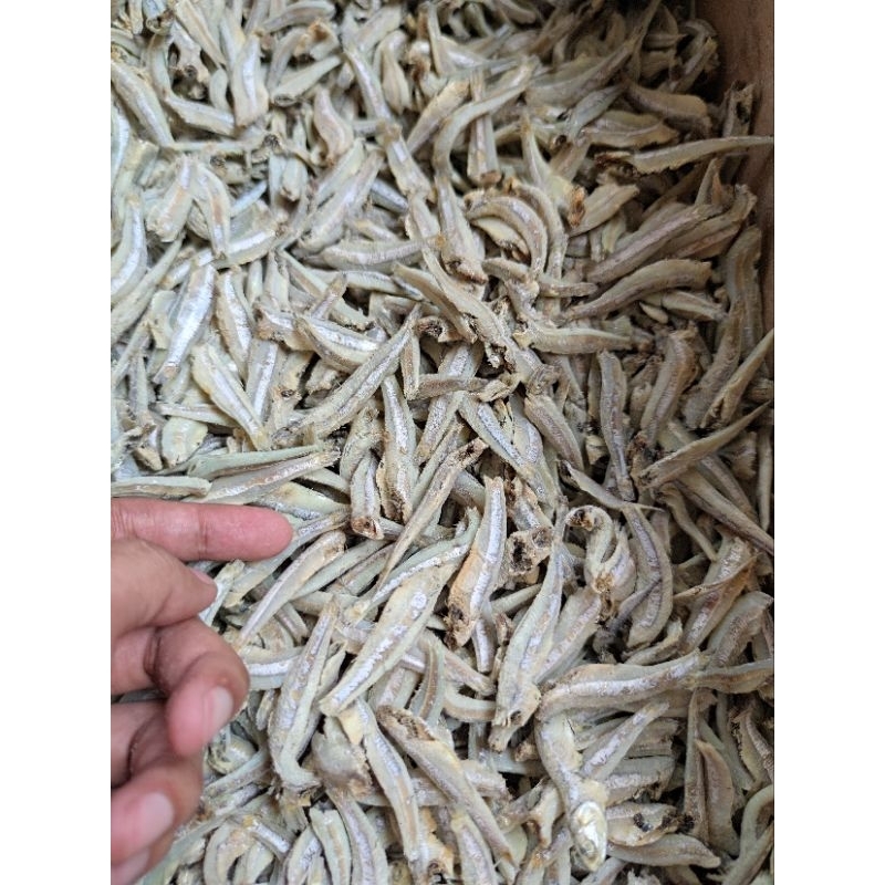 Headless jengki Anchovy Salted Fish/super gundulan 1kg | Shopee Singapore