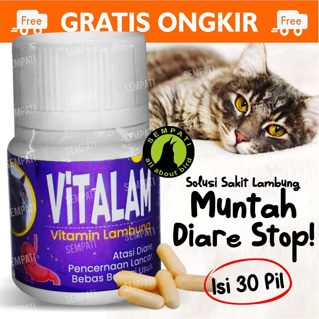 Vitalam Cat Stomach Vitamins Cat Kitten Adult Anabul Digestive Medicine ...
