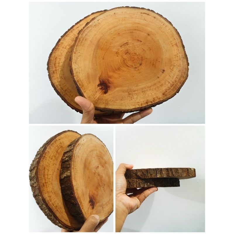 KAYU Wood Slice / Cutting Board / Natural Wood Tree Base coating 20 ...