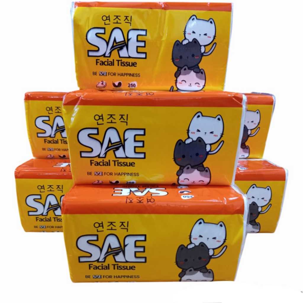 SAE Facial Tissue 12 Pcs Pack - Sae Facial Tissue with Cute and ...