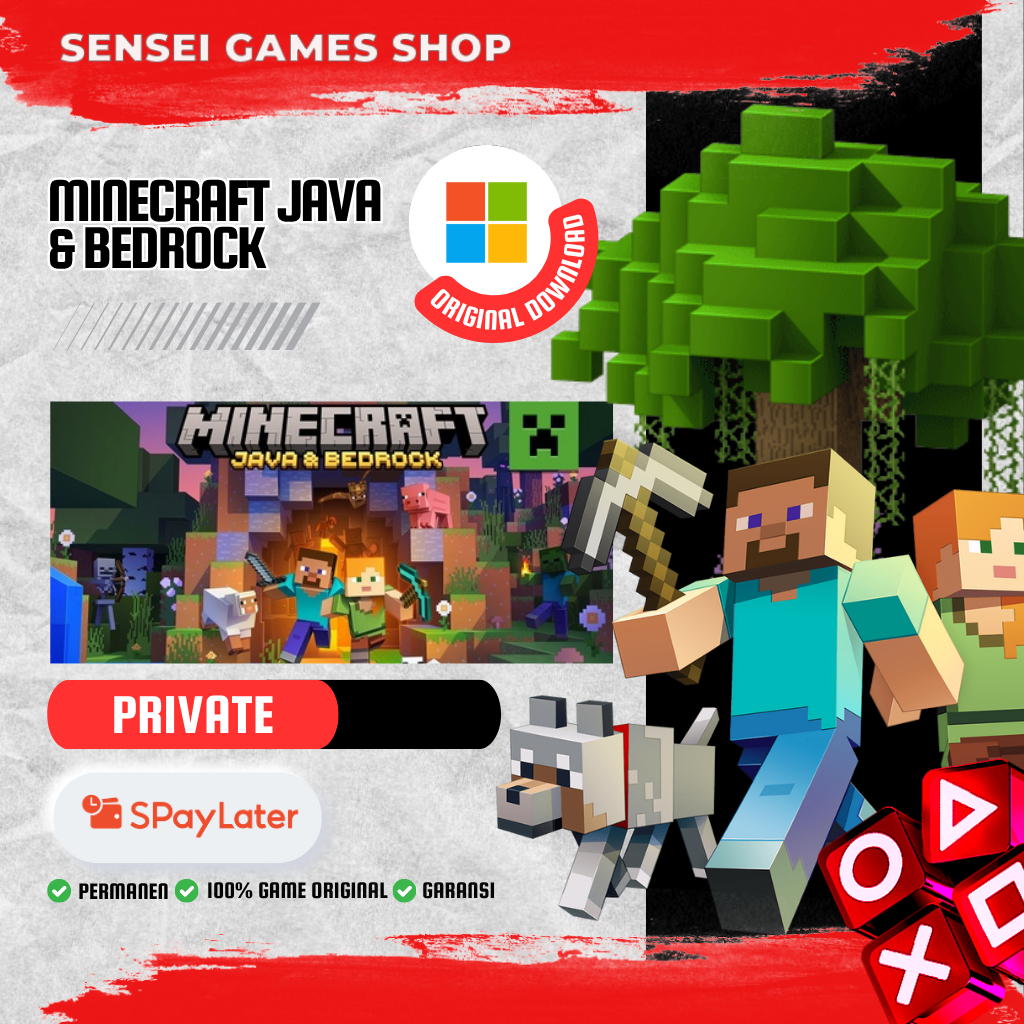 Minecraft Java & Bedrock Original Microsoft Store Private Account ...