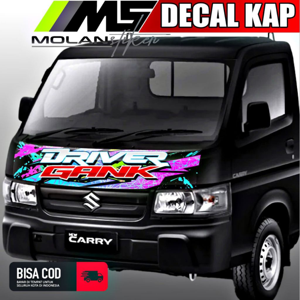 Decal Sticker Striping Front Cabin Variations New Carry Pickup Words ...