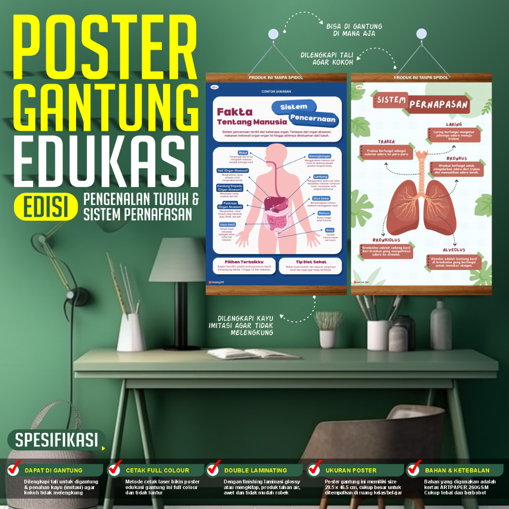 Hanging educational poster, human body recognition poster | Shopee ...