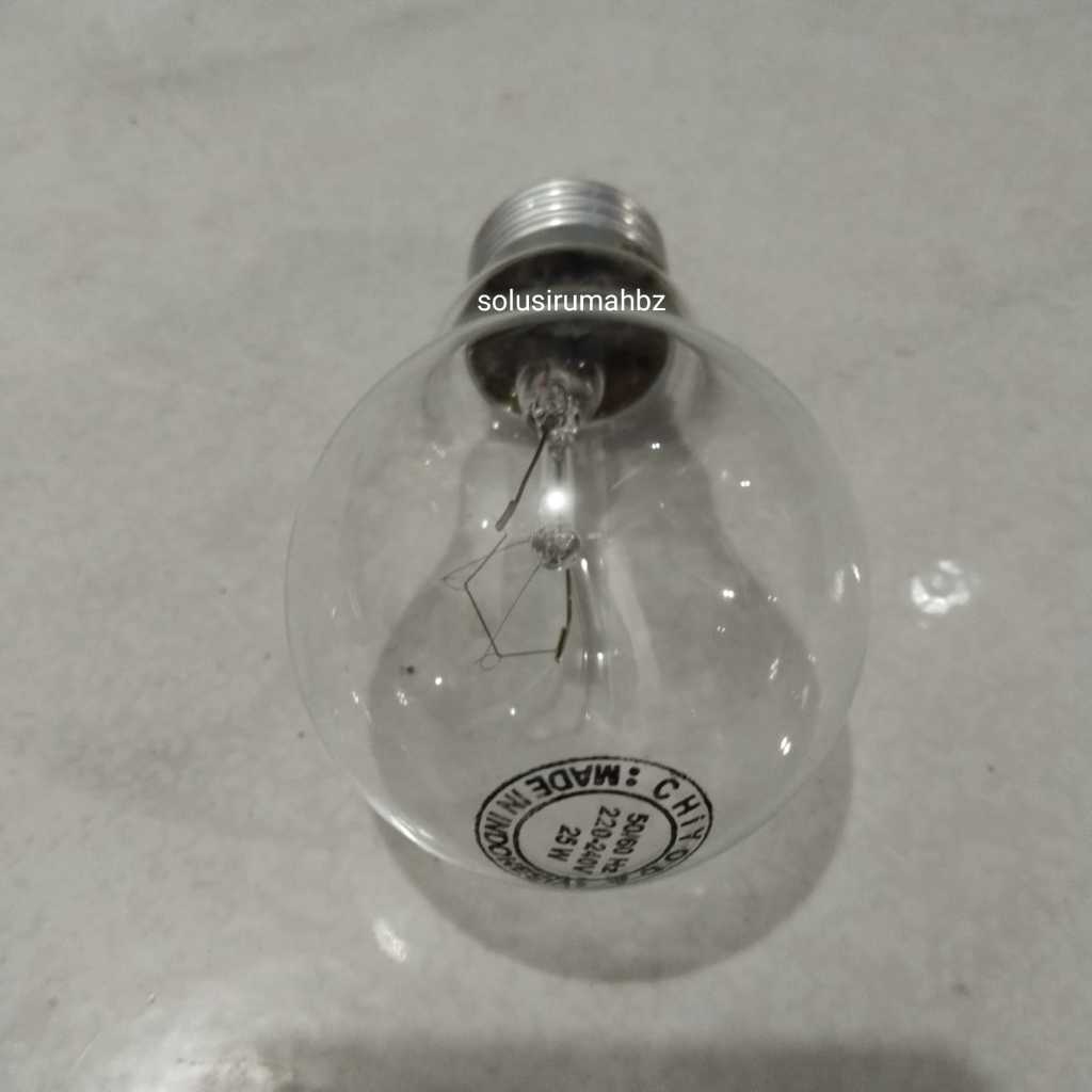 DOP LAMP 25W 220V CLEAR + bubble wrap for chicks 25 watt bulb E27 ...