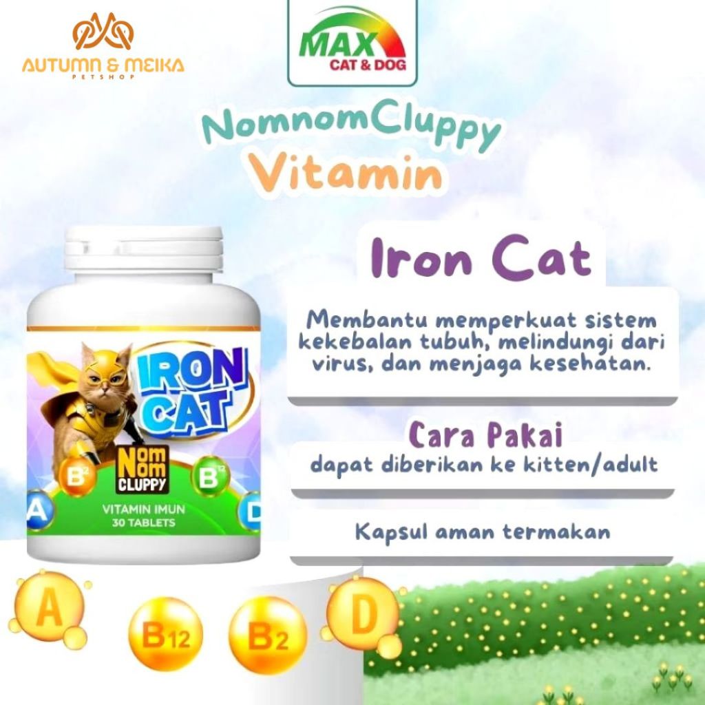 Vitamin INCREASING THE CAT'S IMMUNITY SYSTEM NOMNOM CLUPPY IRON CAT ...