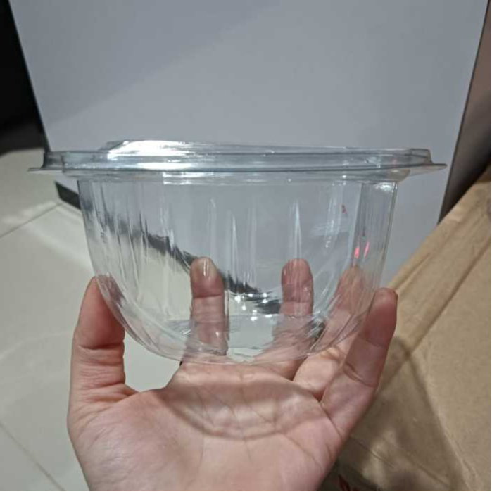 Mica Salad 500ml 20pcs + Mica Lid MB100 500ml Mica Salad Tray / Fruit ...